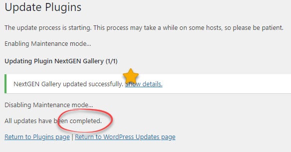 Installing and Updating NextGEN Gallery | Imagely Installing and Updating NextGEN Gallery | Imagely