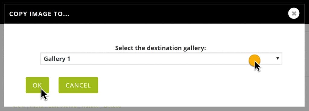 Copy to / Move to | Imagely
