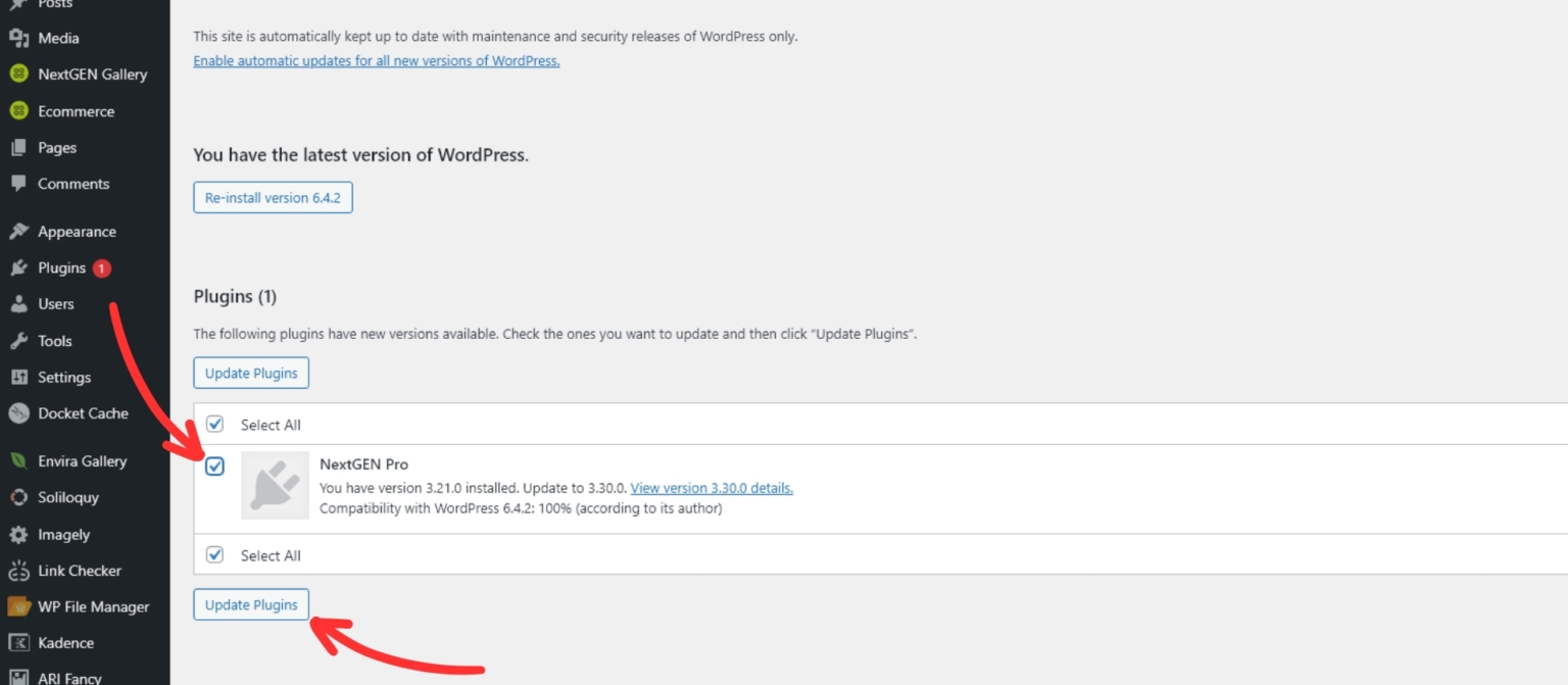 How to Update NextGEN Pro & NextGEN Plus | Imagely