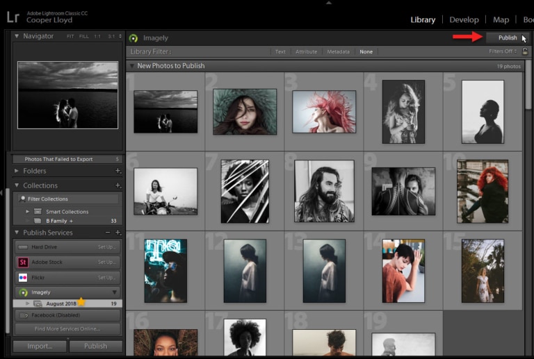 How To Create WordPress Galleries & Albums From Lightroom