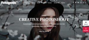 15 Best WordPress Photography Themes (Free & Premium)