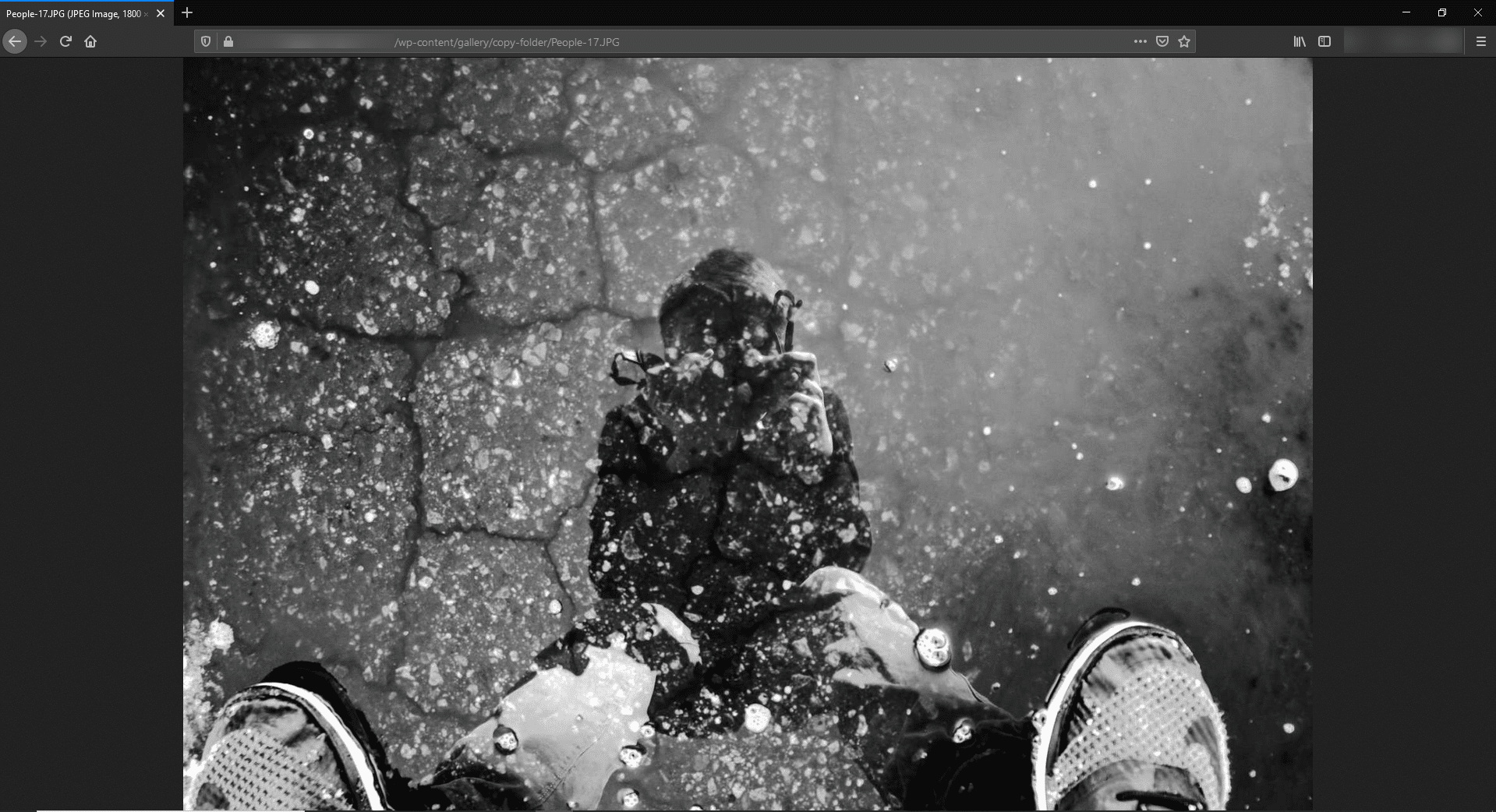 How to customize Lightbox effects | Imagely