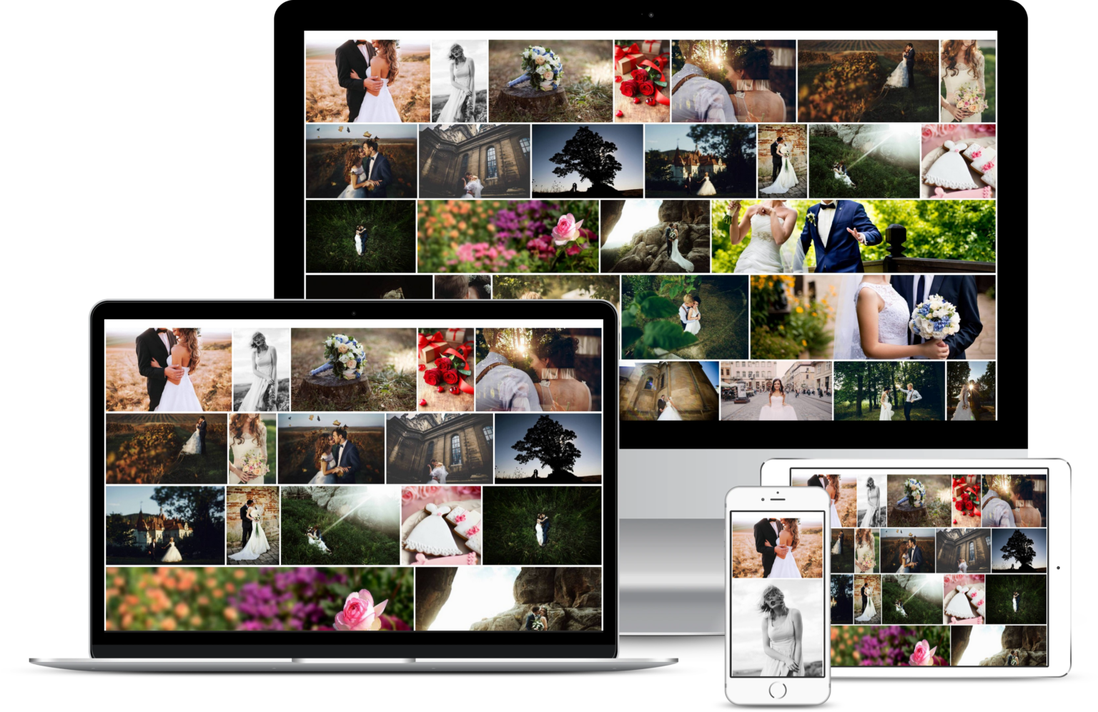 10 Best WordPress Gallery Plugins to Create Outstanding Visuals