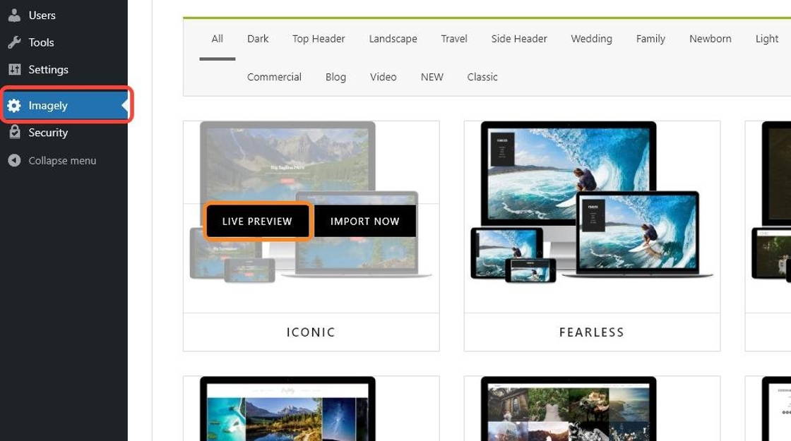 How to Install the Imagely Theme | Imagely