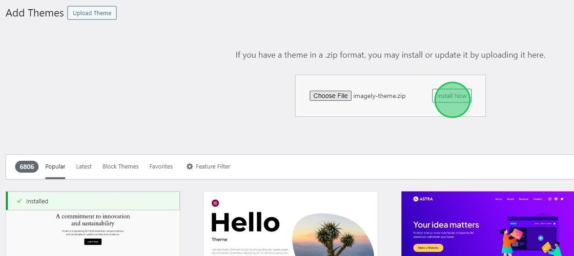 How to Install the Imagely Theme | Imagely