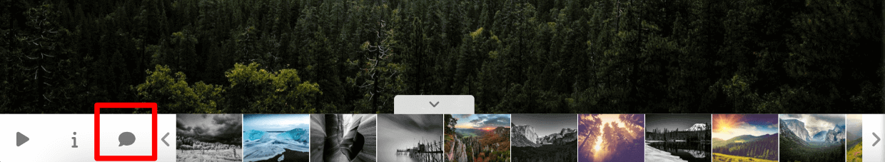 How to Let Visitors Comment on a Photo in WordPress Galleries