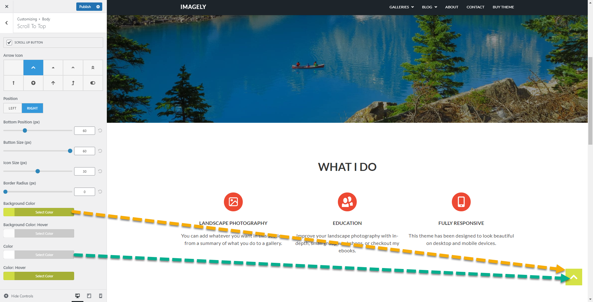Scroll to Top | Imagely