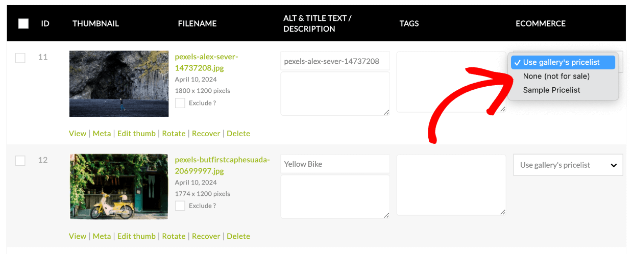 How to Sell Photography Online (The Best WordPress Tutorial)