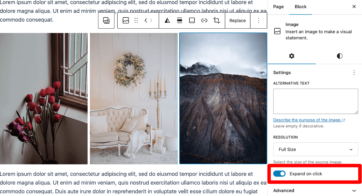 How to Add a Lightbox to WordPress: Step-by-Step Guide